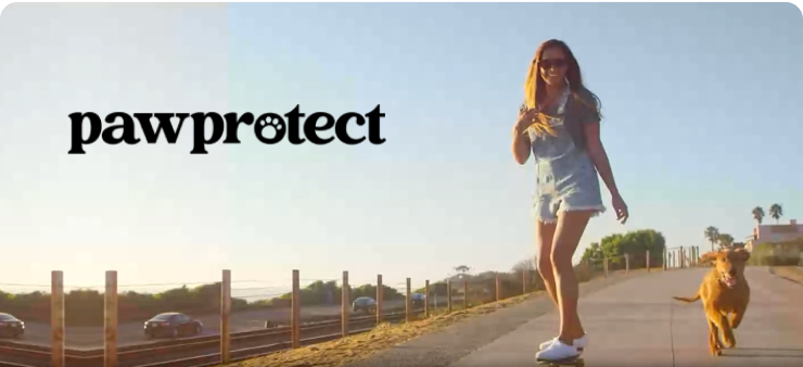 Best Pet insurance 2024