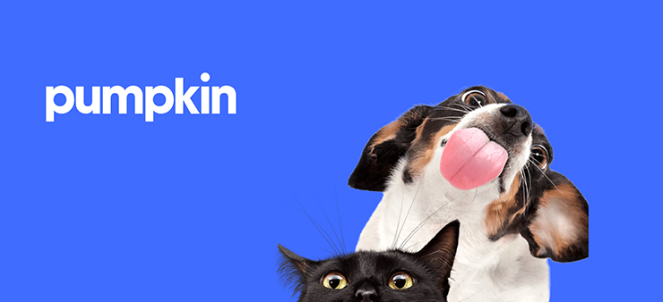 Best Pet insurance 2024