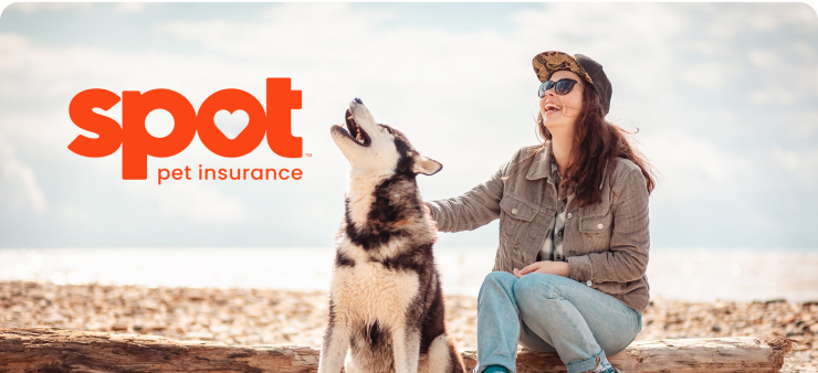 Best Pet insurance 2024